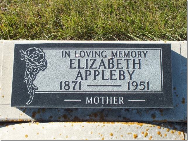 Saskatchewan Cemeteries Project - Ceylon Cemetery - Ceylon, Saskatchewan